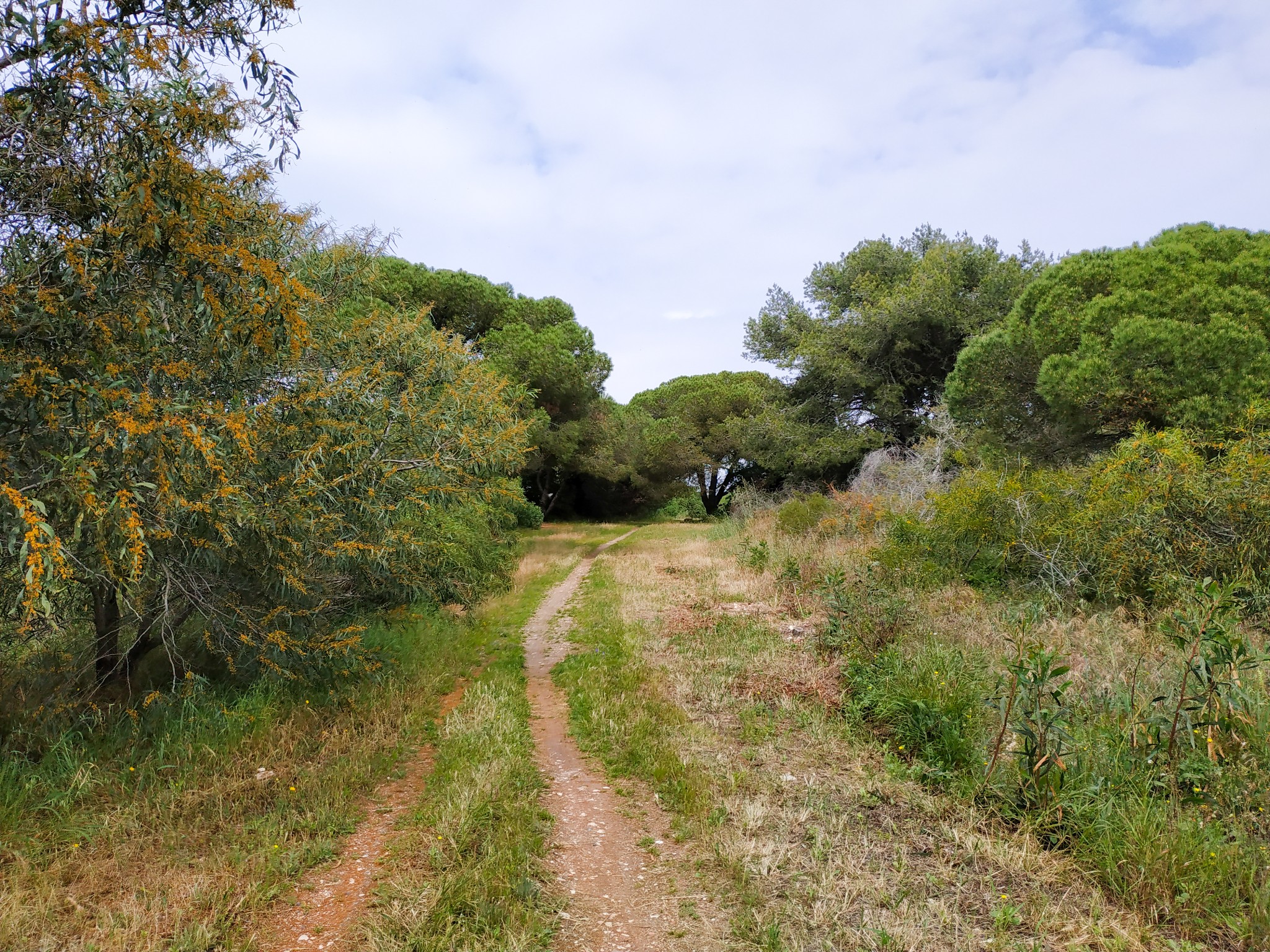 À conquista do Forte da Raposeira - Trafaria - GreenTrekker.pt
