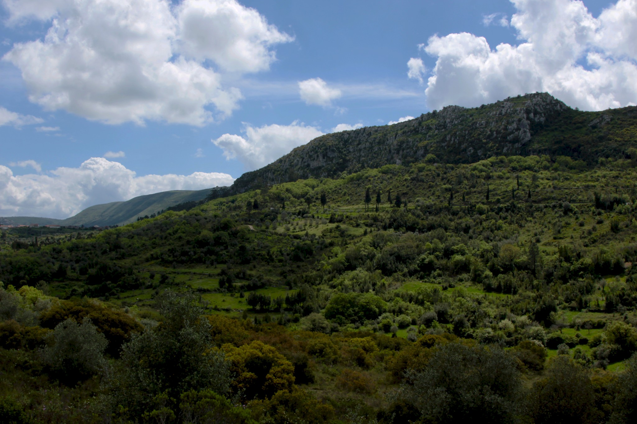 À descoberta da Mata da Alcaria - GreenTrekker.pt