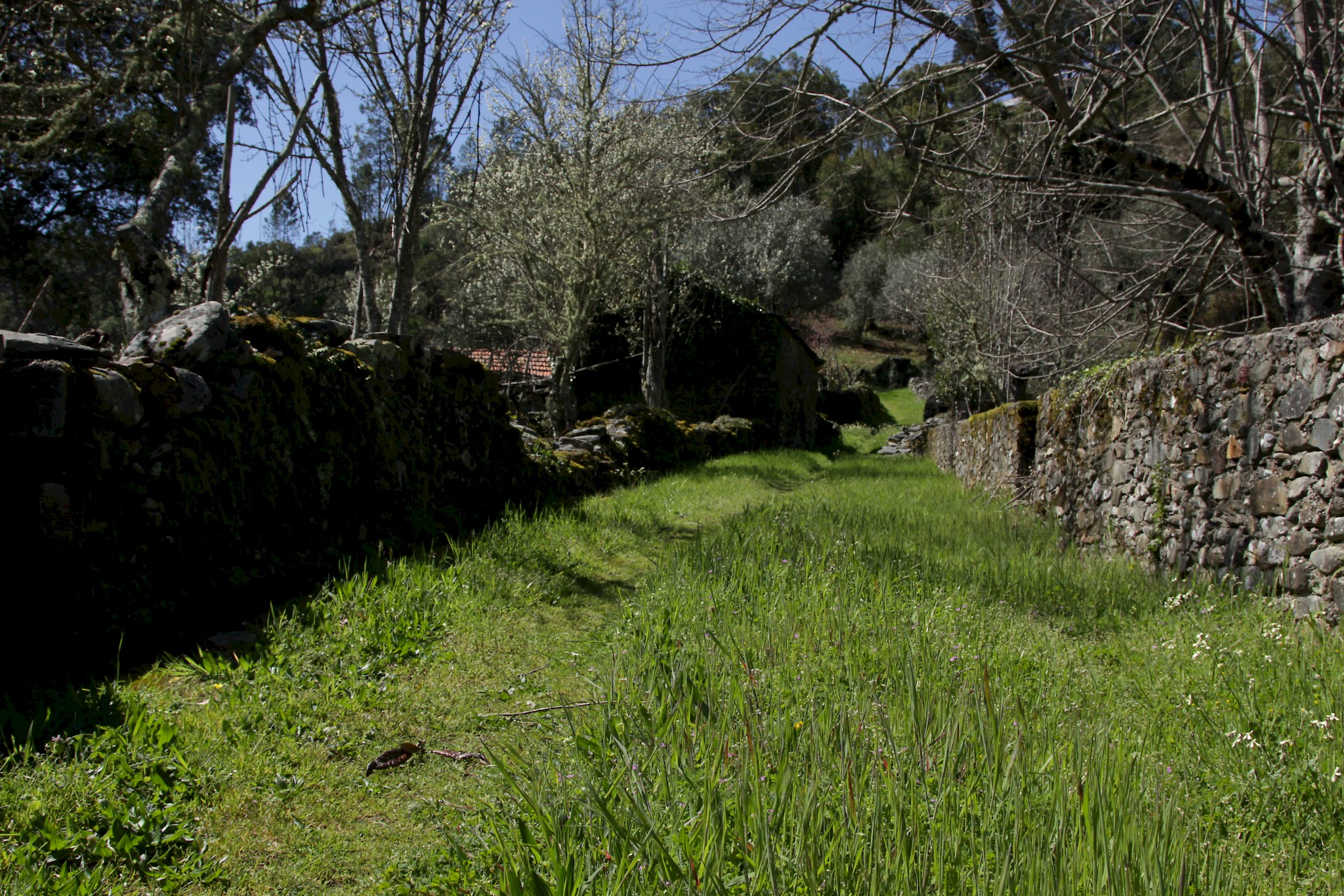 Pelo Trilho do Vale do Ceira - GreenTrekker.pt