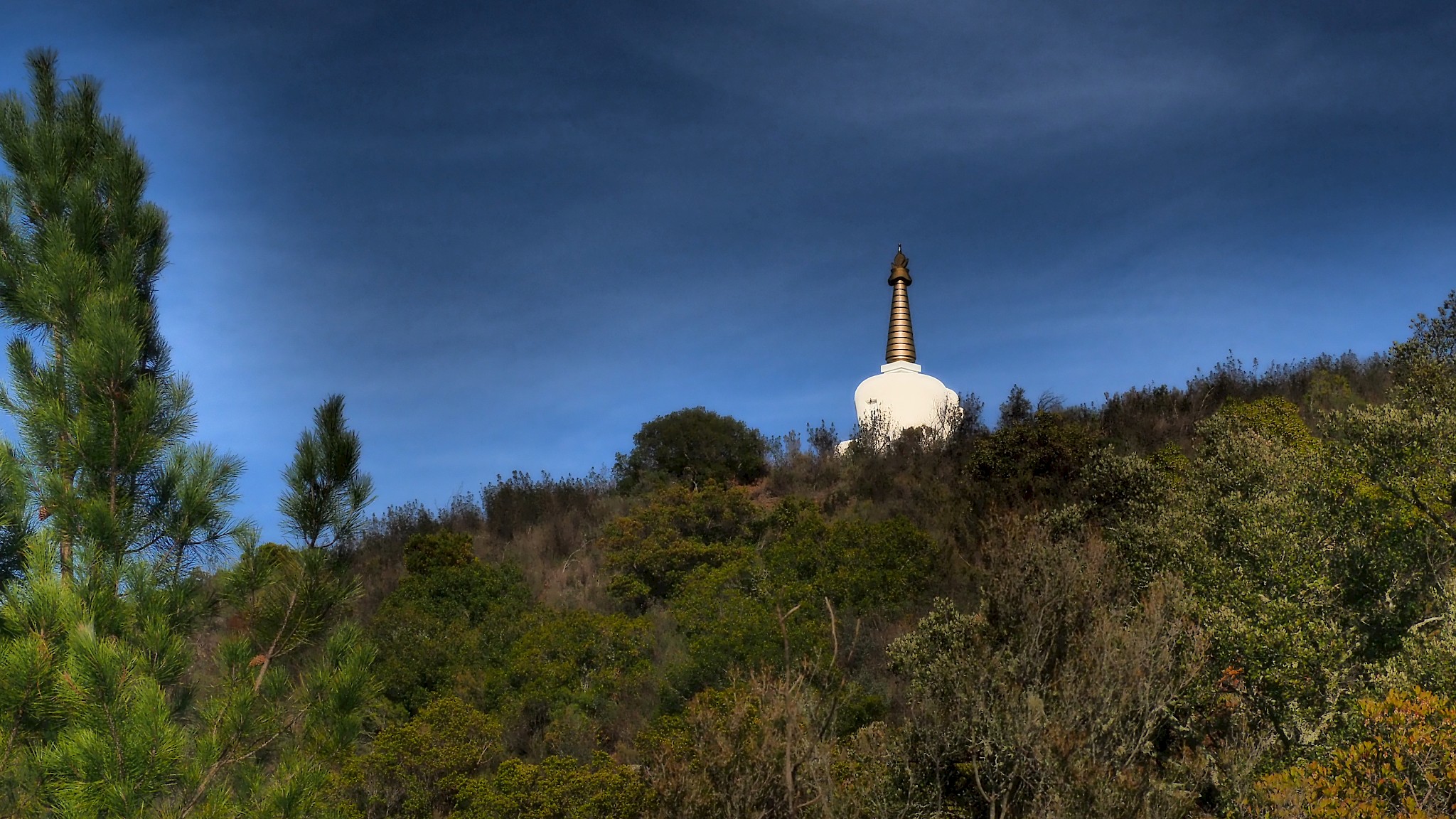 Visita ao Templo Budista Stupa Tashi Gomang - GreenTrekker.pt