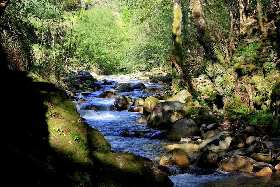 Parque Natural do Alvão - GreenTrekker.pt