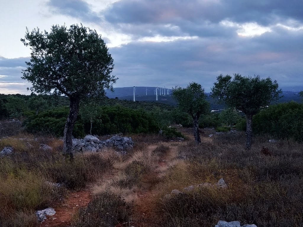 Baloiço do Talegre - Alburitel - Ourém - GreenTrekker.pt